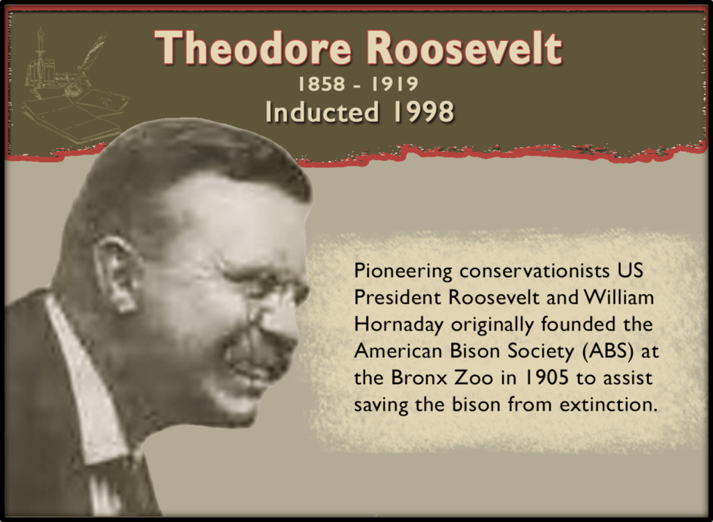 President Roosevelt